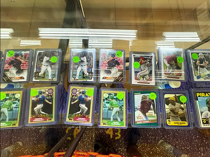 Baseball cards under glass—each one a time capsule of summer afternoons, transistor radios, and dreams of making it to the big leagues.