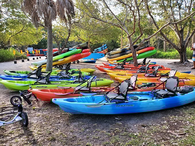 An armada of adventure vessels, each one a ticket to Florida's most stunning secret.