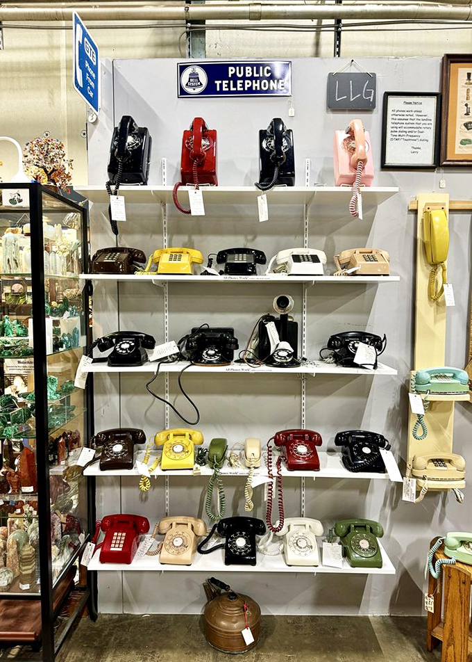 "Hello? Yes, I'd like to order one of each vintage phone." A rainbow of rotary nostalgia awaits.