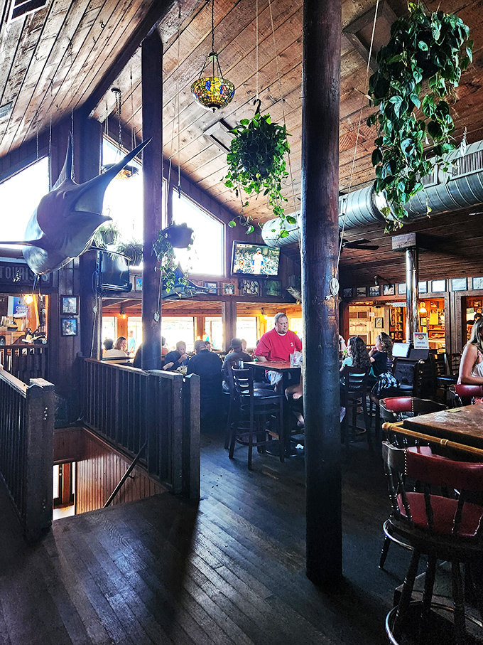 High ceilings, hanging plants, and a marlin watching over diners – it's like eating in the living room of your coolest seafood-loving friend.