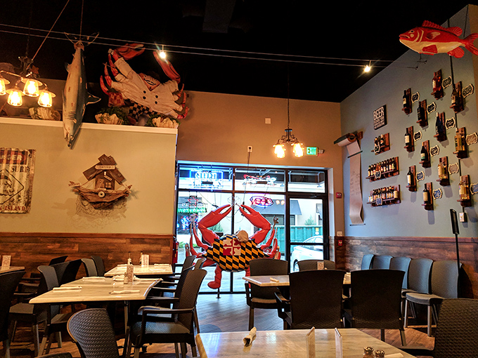 Maritime décor that says "we're serious about seafood" without turning into a theme park—just enough nets and fish to establish credibility.