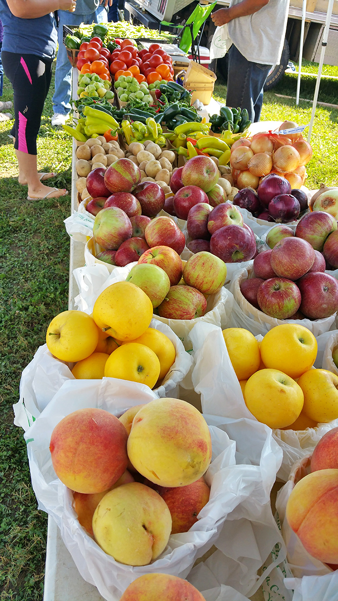 Nature's candy store: sun-ripened peaches, apples, and fresh produce that make grocery store fruit look like sad, distant relatives.