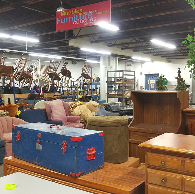 Furniture island—where that perfect mid-century side table hides between a blue trunk with character and yesterday's living room centerpieces.