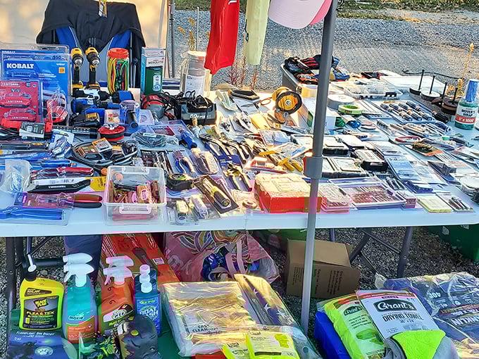 Tool heaven for DIY enthusiasts – where that specific screwdriver set you've been hunting for suddenly appears at a price that makes your wallet smile.