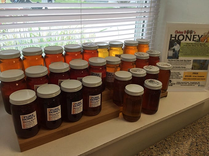 Liquid gold in jars. This local honey display offers sweet companions to the bakery's breads—nature's perfect partnership in delicious amber hues.