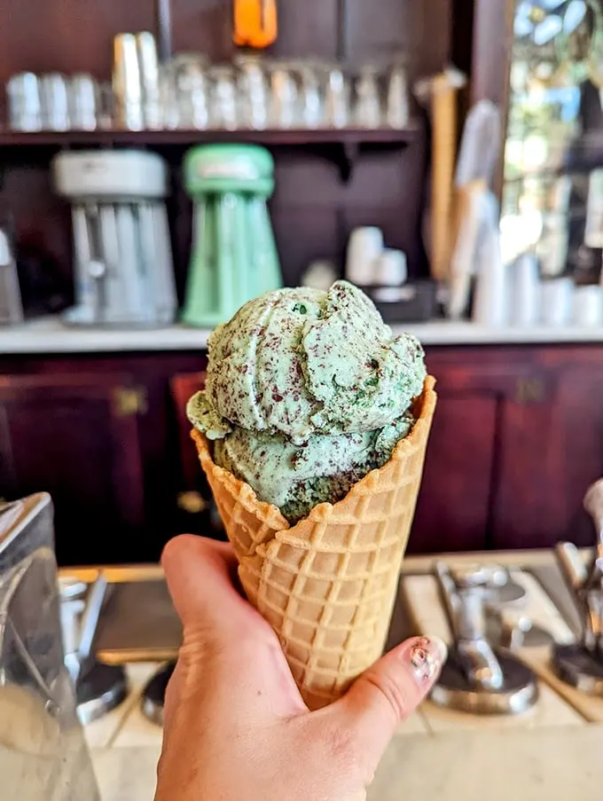 Mint chocolate chip ice cream in a waffle cone: childhood nostalgia served at a temperature that demands immediate attention. Brain freeze has never been more worth it.