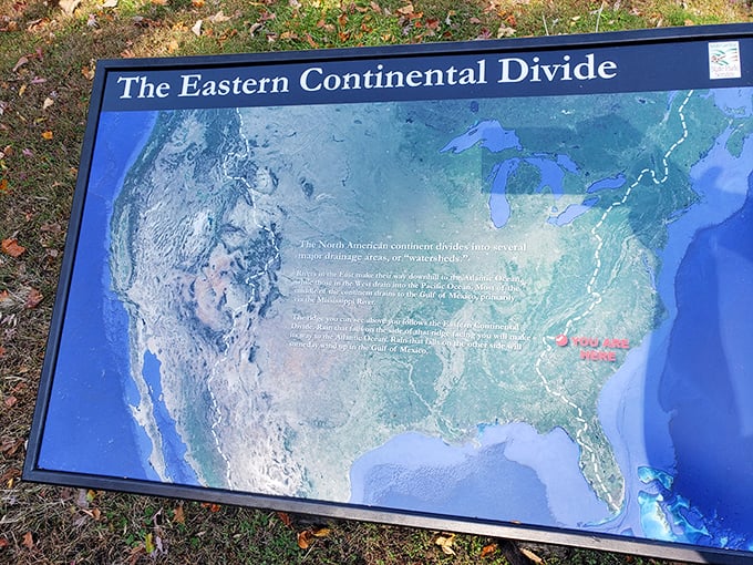 The Eastern Continental Divide sign explains where raindrops decide their destiny. Geography class was never this beautiful or meaningful.
