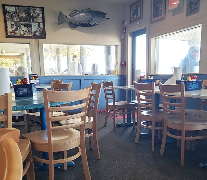 Fish mounted on walls, light streaming through windows. The blue wainscoting isn't just decor—it's a reminder of the water just steps away.
