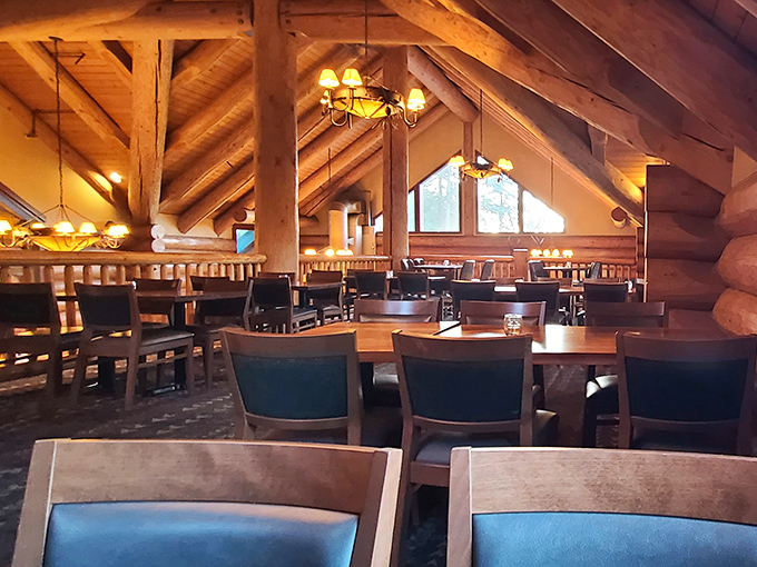 Cathedral ceilings of timber and light create a dining space that feels both grand and intimate – like eating in a luxury treehouse built for grown-ups.