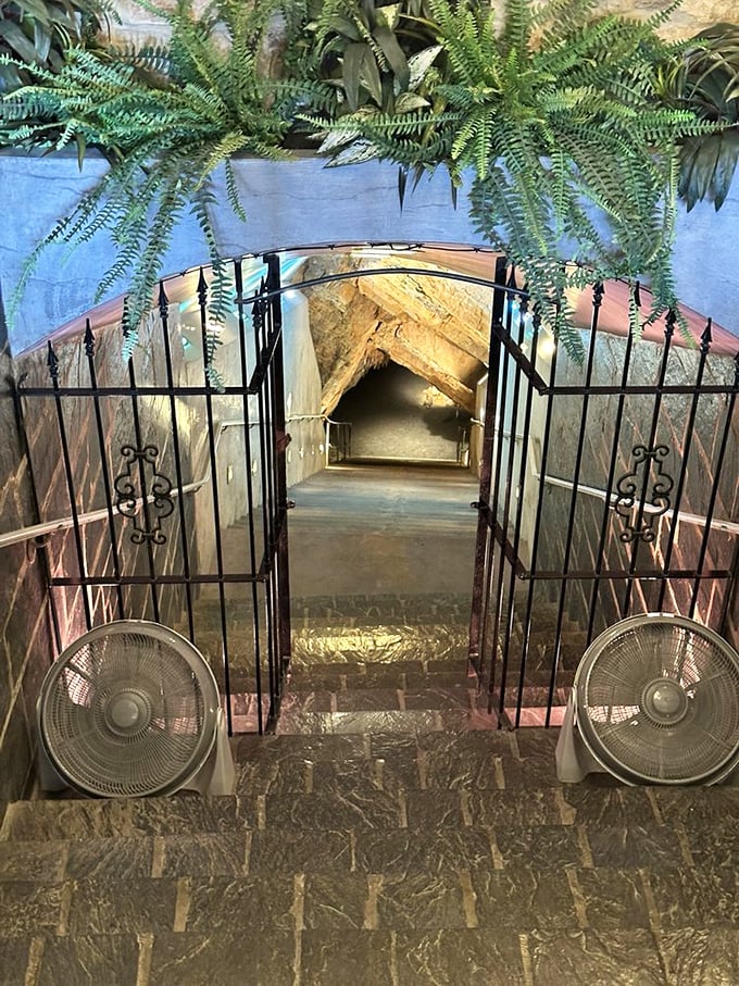 The gateway to adventure: Ornate iron gates mark the threshold between our everyday world and the timeless realm of geological wonders below.