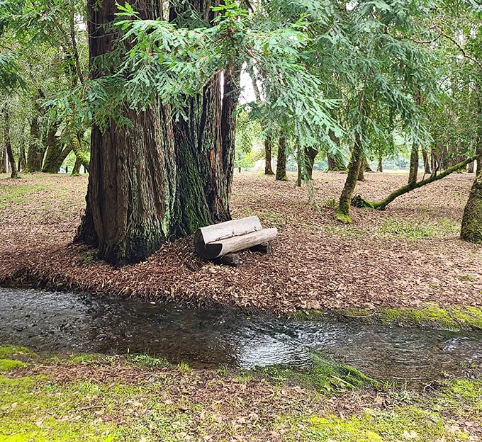 Nature's perfect reading nook. This simple log bench beside a gentle stream offers meditation that no spa package could ever match.
