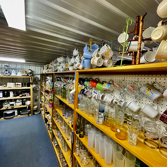 Mugs hanging like colorful stalactites – each one a potential morning companion. Coffee tastes better from vessels with history, trust me on this.
