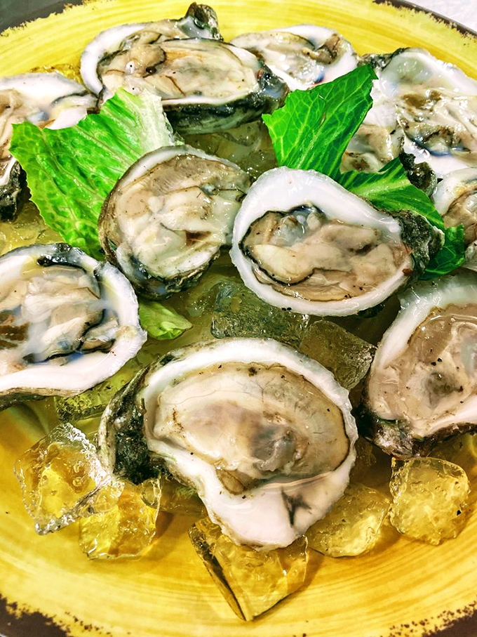 Oysters so fresh they practically wink at you from their shells. Served on a sunshine-yellow plate because in the Keys, even seafood deserves a tropical backdrop.