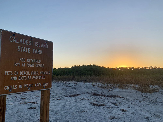 Sunset transforms even park signage into art. Golden hour at Caladesi makes everything—yes, even regulatory information—look Instagram-worthy.