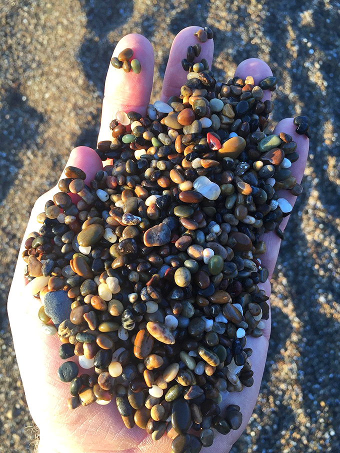 A handful of Bean Hollow's famous pebbles—nature's jewelry collection, polished to perfection by countless tides.