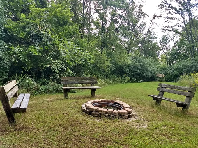 Three benches and a fire pit—nature's living room. The only thing missing is a remote control, and that's entirely the point.