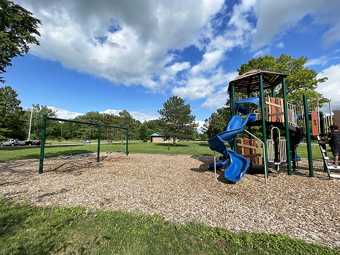 Childhood joy engineered in primary colors. The playground where energy is burned and memories are built simultaneously.