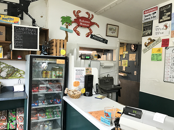 Behind this counter, seafood magic happens daily. The handwritten signs and coastal décor tell you everything about their priorities: fresh catch, not fancy frills.