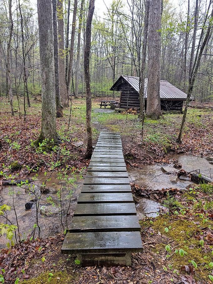 Rustic log shelter connected to the forest by a simple wooden footbridge. Like something from a fairy tale, minus the witch with questionable real estate motives.