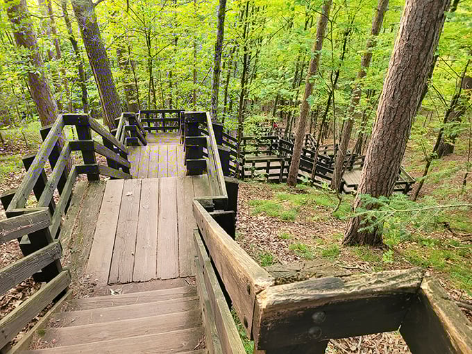 These wooden stairs aren't just trail infrastructure – they're a journey through geological time, descending into Wisconsin's ancient volcanic past.