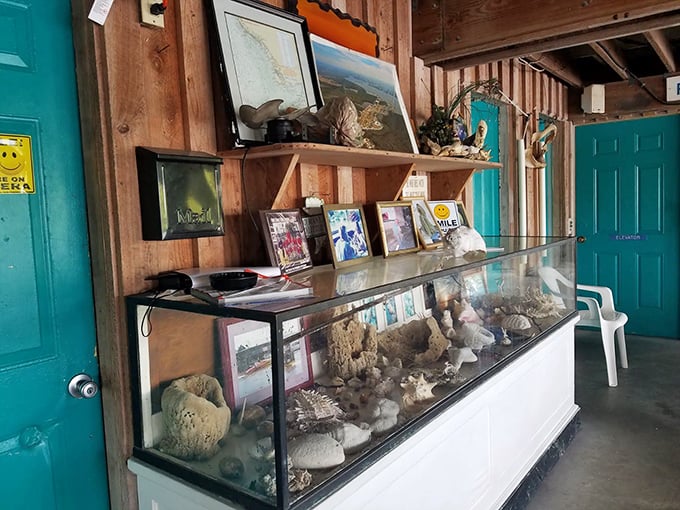 Decor that screams "we caught this stuff" meets "yard sale chic"—somehow it all makes perfect sense with fried fish.
