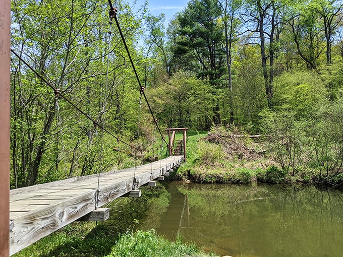 This suspension bridge isn't just a crossing – it's an invitation to channel your inner Indiana Jones while staying conveniently close to your car's snack supply.
