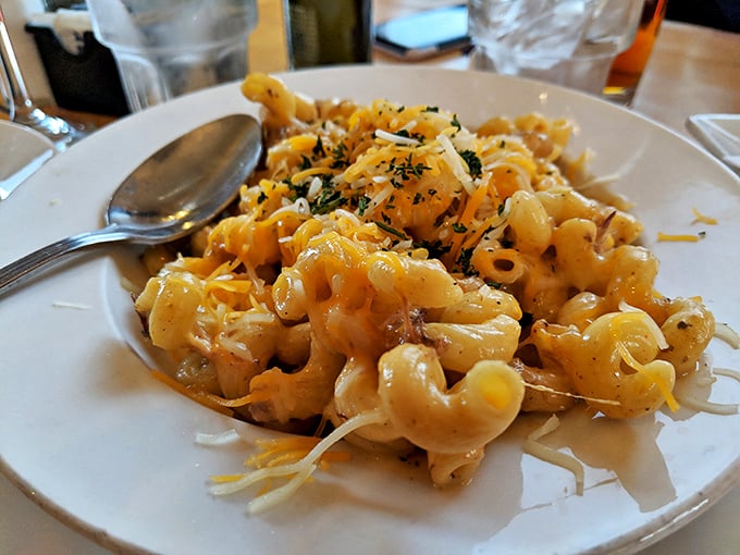 Mac and cheese for grown-ups—where comfort food gets dressed up but doesn't forget its humble, delicious roots.