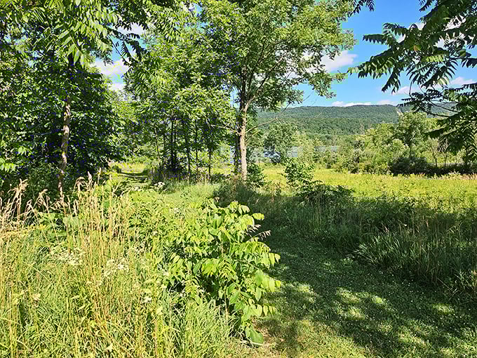 Mother Nature's pathways invite exploration through meadows where the only notification you'll receive is the occasional butterfly crossing your path.