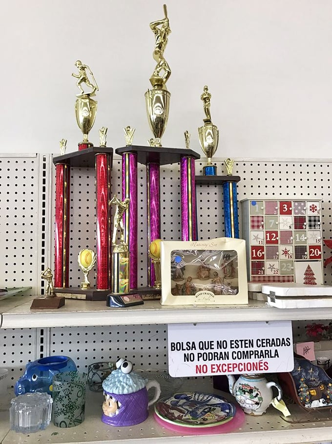 Trophy case or conversation starter? These colorful awards await their second chance at glory, perhaps as ironic office decor or podcast background.