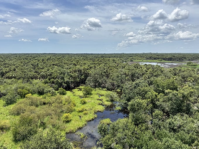 The view that makes every stair climb worthwhile. Mother Nature's panoramic screensaver stretches to the horizon, no subscription required.
