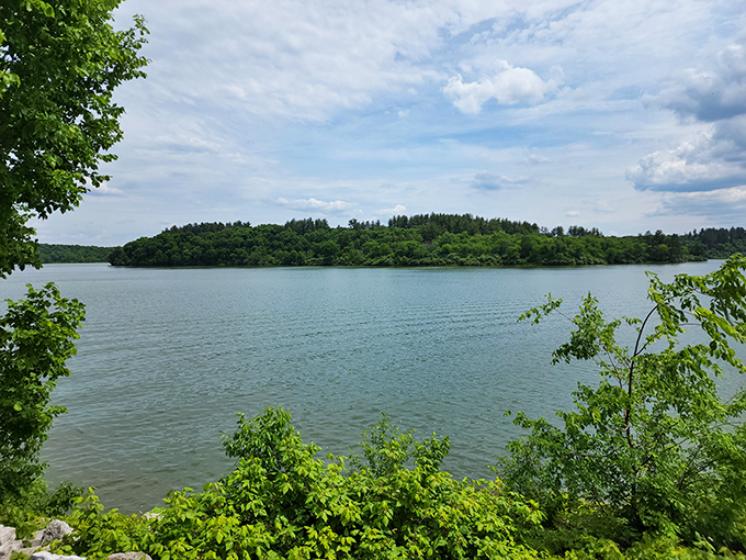 The lake view framed by Missouri greenery creates the kind of panorama that makes amateur photographers look like professionals.