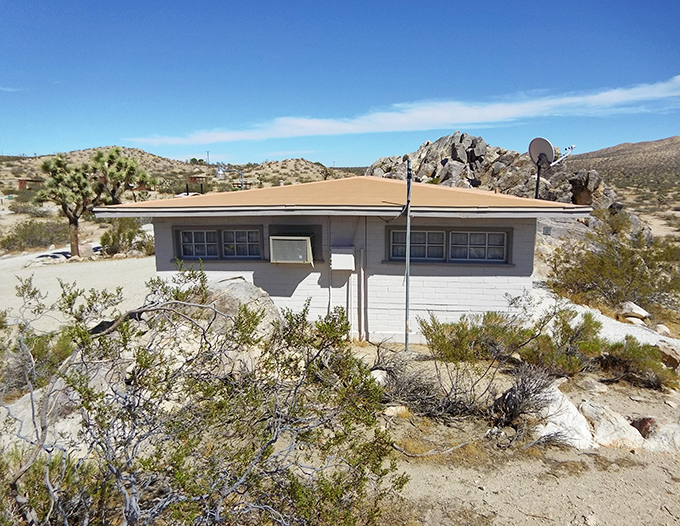 This unassuming desert outpost holds the secrets of the Mojave—like a library where the books are written in cactus and stone.