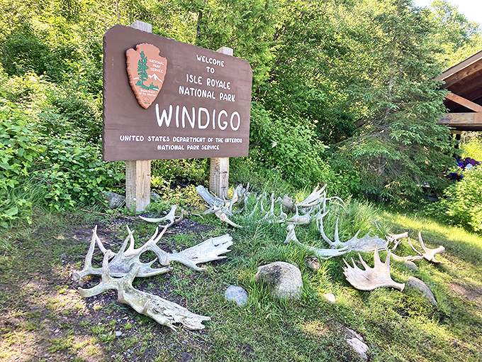 The Windigo welcome sign with its moose antler collection—nature's version of "leave your troubles at the door."