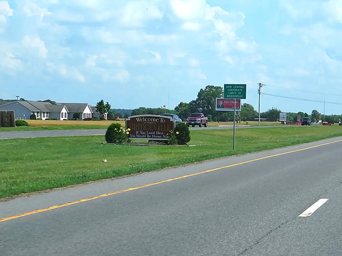 Bridgeville's small-town charm shines through in its well-preserved downtown, where history meets modern convenience.