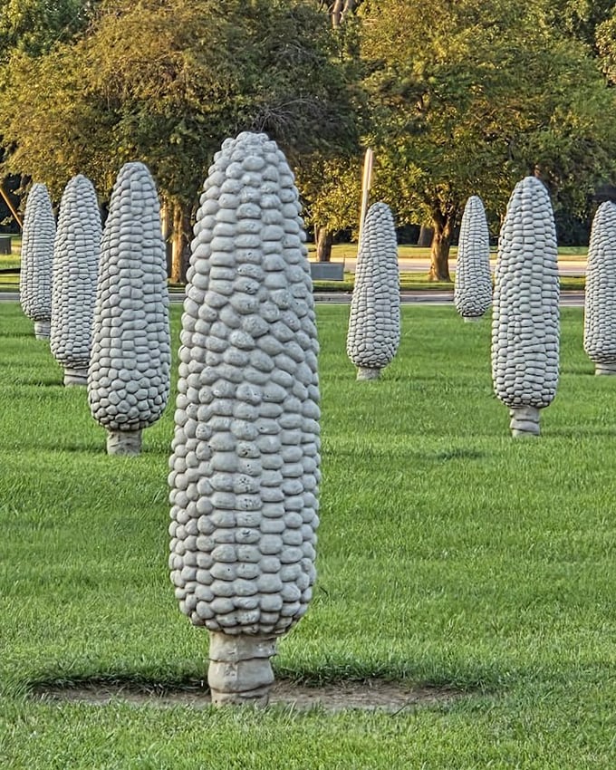 Welcome to Ohio's most kernel-packed field, where concrete corn cobs stand at attention like agricultural soldiers.