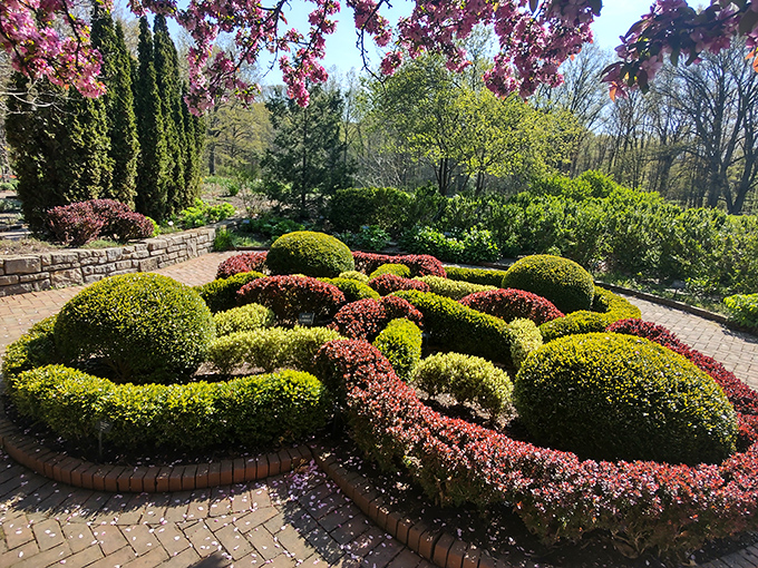 Nature's own masterpiece! These meticulously shaped gardens create patterns that are both whimsical and precise.