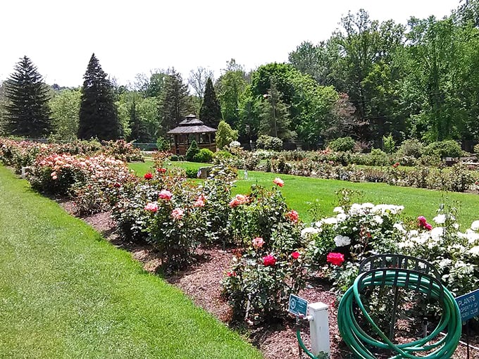 Flowering gardens and affordable living bloom side by side in McKeesport, where retirement budgets find room to grow.