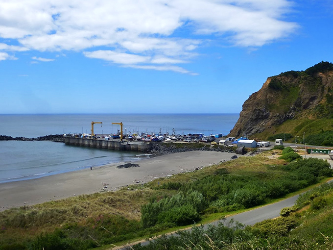 Port Orford: Where dramatic cliffs meet the endless blue Pacific. The kind of view that makes you question your life choices.