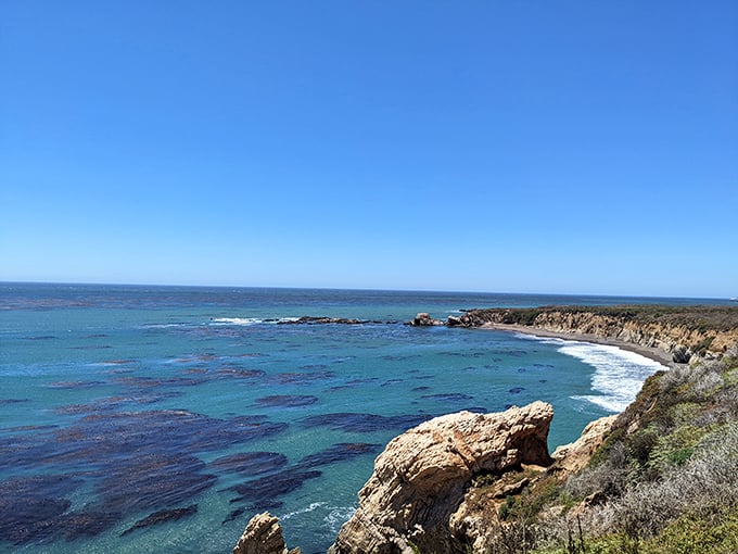 San Simeon's rugged beauty on display – where the Pacific crashes against the shore with Hollywood-worthy drama.