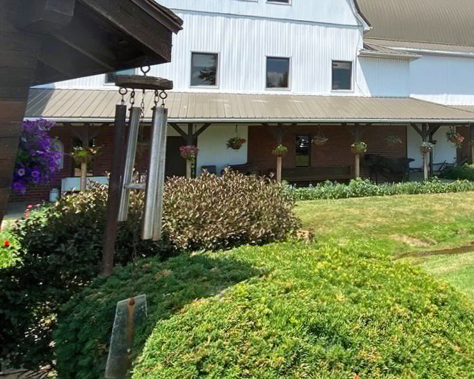 The Barn Restaurant's weathered siding tells stories of countless satisfied diners. Authentic farm-to-table before it was trendy!