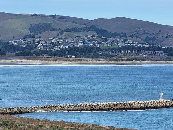 The working harbor that keeps this town real, not just another pretty face.