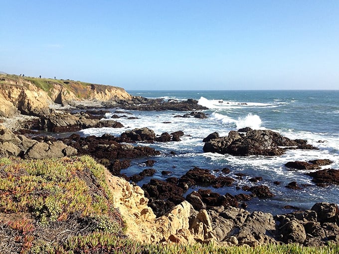 Cambria's rugged coastline showcases the dramatic meeting of land and sea, where waves have sculpted a masterpiece over millennia.