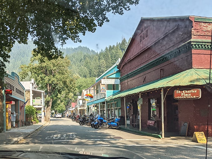 The Sierra sunshine illuminates Downieville's historic buildings, where the Gold Rush spirit lives on in every wooden storefront.
