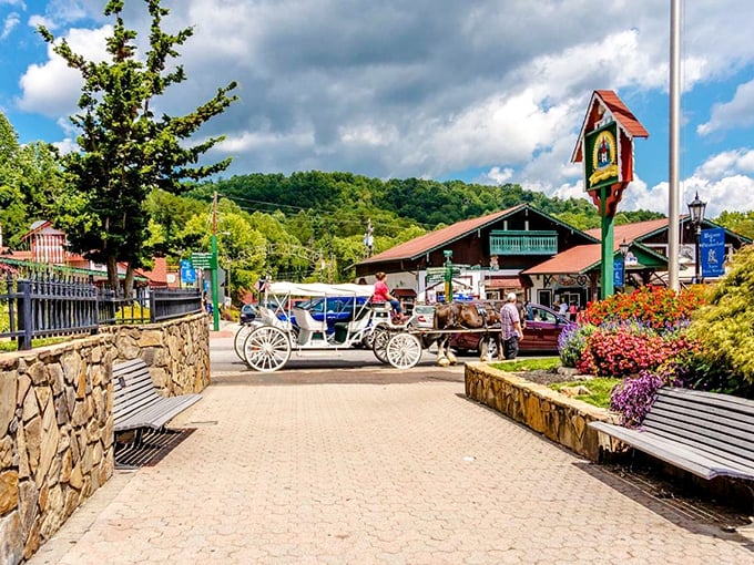 Sautee Nacoochee's horse-drawn carriage adds old-world charm to this picturesque scene. Time travel is possible—no DeLorean required!