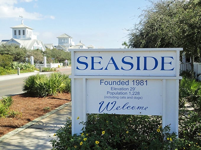 Welcome to Seaside, where the population includes cats and dogs because even pets deserve this slice of coastal perfection.