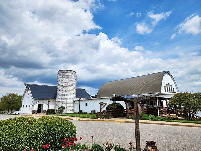 Nestled against green hills, The Barn Restaurant promises farm-fresh goodness that'll have you plotting your next visit before dessert arrives.