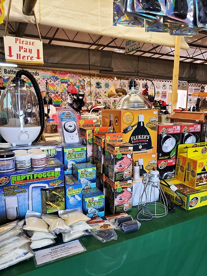 Reptile enthusiasts find their happy place amid heat lamps and habitat supplies—proof that Renninger's caters to hobbyists of every imaginable variety.