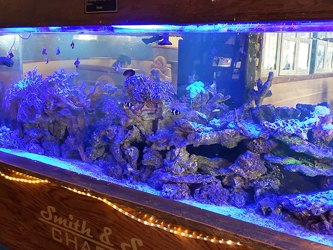 An aquarium so mesmerizing you might forget your food is coming—until the aroma snaps you back to delicious reality.