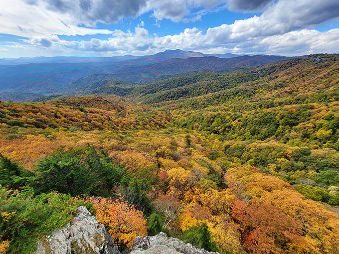 Nature's color palette gone wild. The Blue Ridge Mountains in autumn make you wonder if trees are competing for who can wear the brightest outfit.