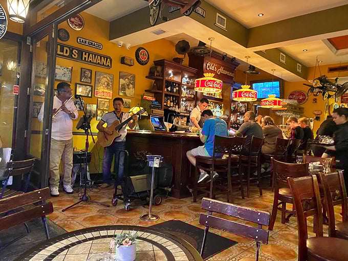 Live music transforms dinner into a celebration – these aren't just musicians, they're memory-makers accompanying your meal with rhythm.